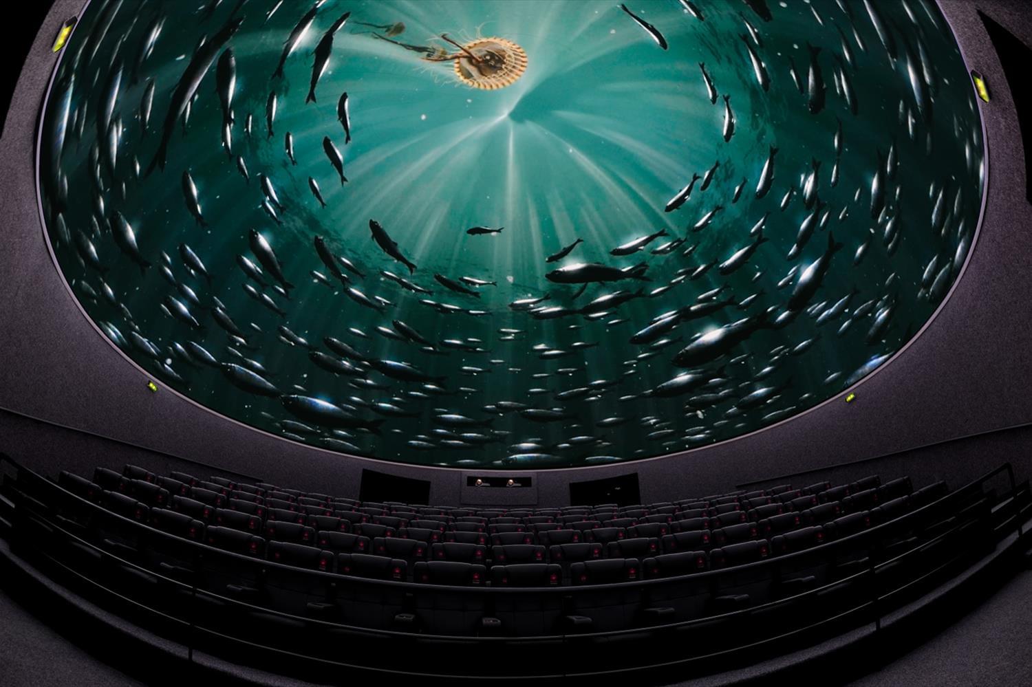 Digital Arena | Galeria da Arquitetura