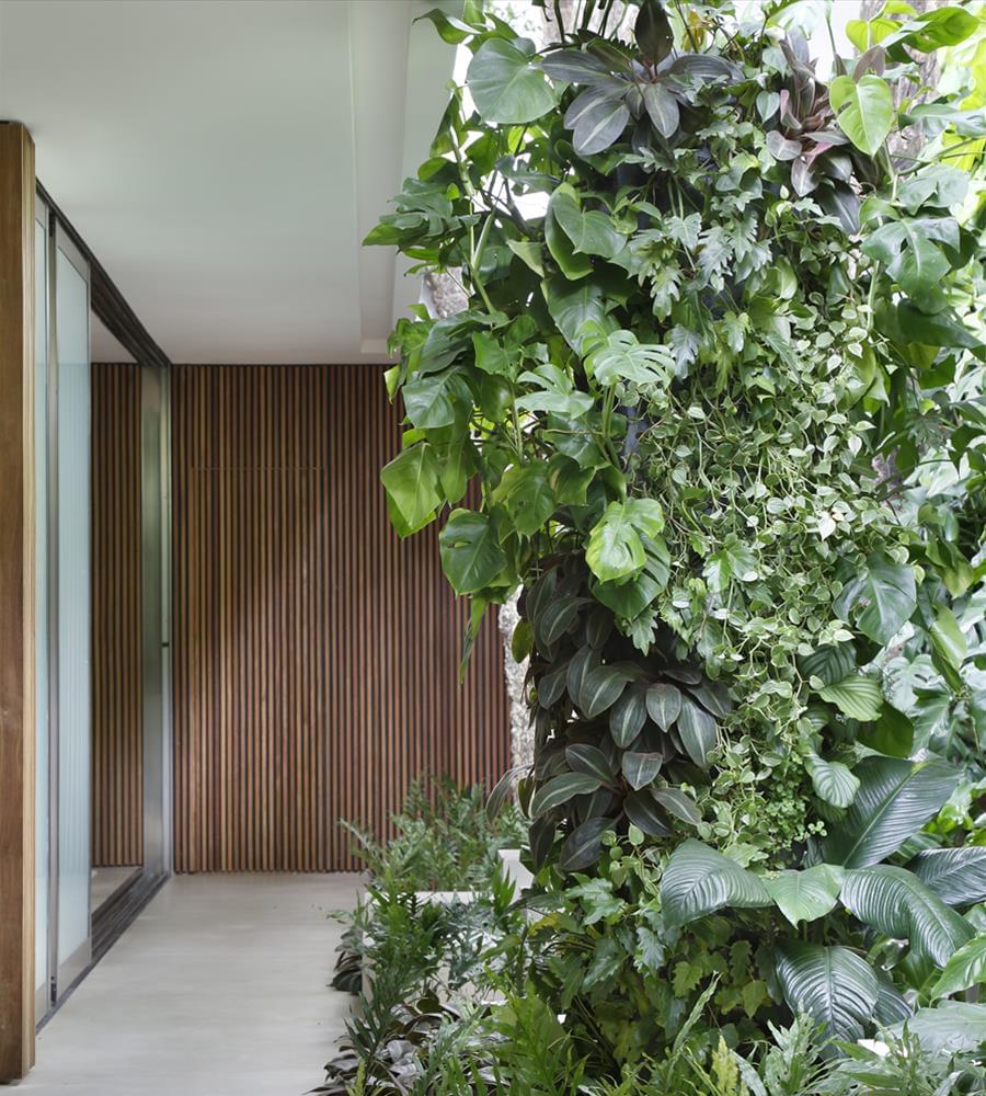 Escritório Alex Hanazaki Paisagismo | Galeria da Arquitetura